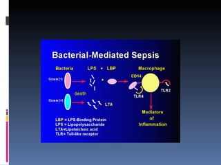 CME: Sepsis Pathogenesis – Microbial factors | PPT