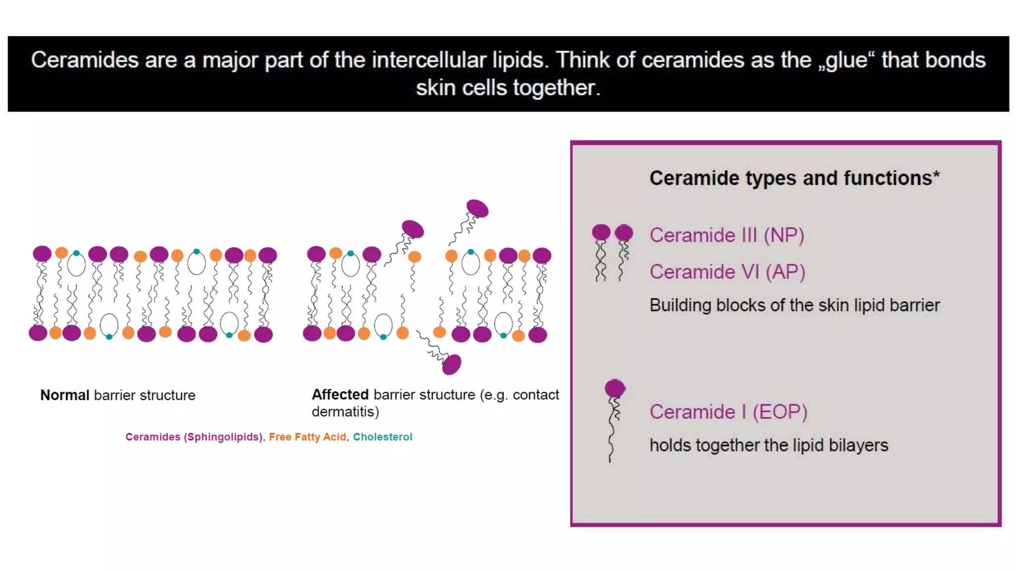 CME Slides - Ceravis.pptx