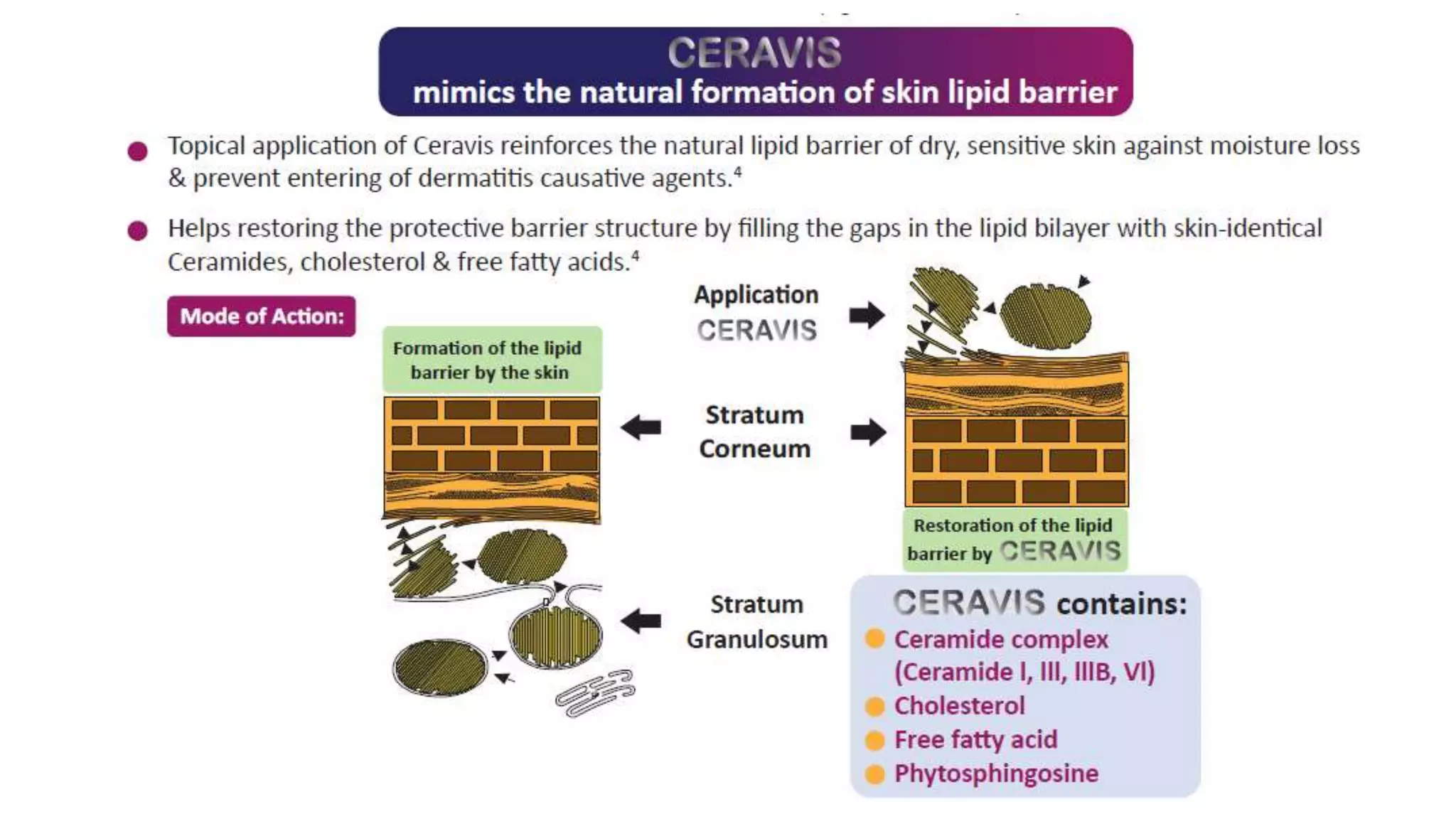 CME Slides - Ceravis.pptx
