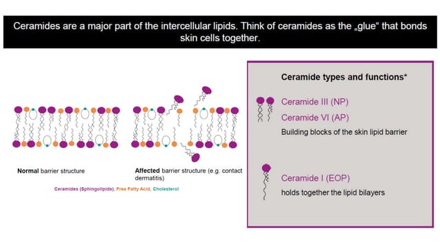 CME Slides - Ceravis.pptx