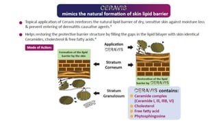 CME Slides - Ceravis.pptx