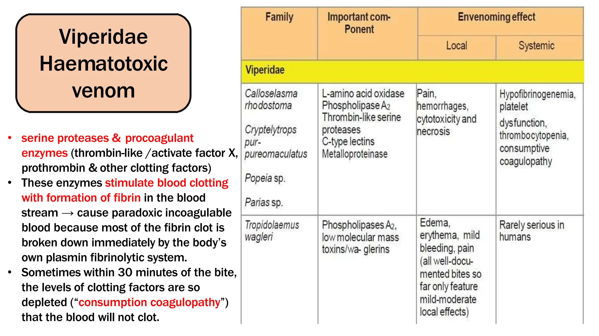 CME Snake Bite.pptx snake bite snake bite | PPTX