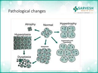 Basics of surgical oncology and pathophysiology of cancer.pptx
