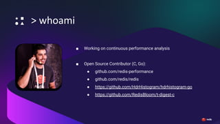 CMG 2024 - Performance Testing, Profiling, and Analysis at Redis | PPT