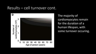 Cardio Myocytes growth turnover | PPT