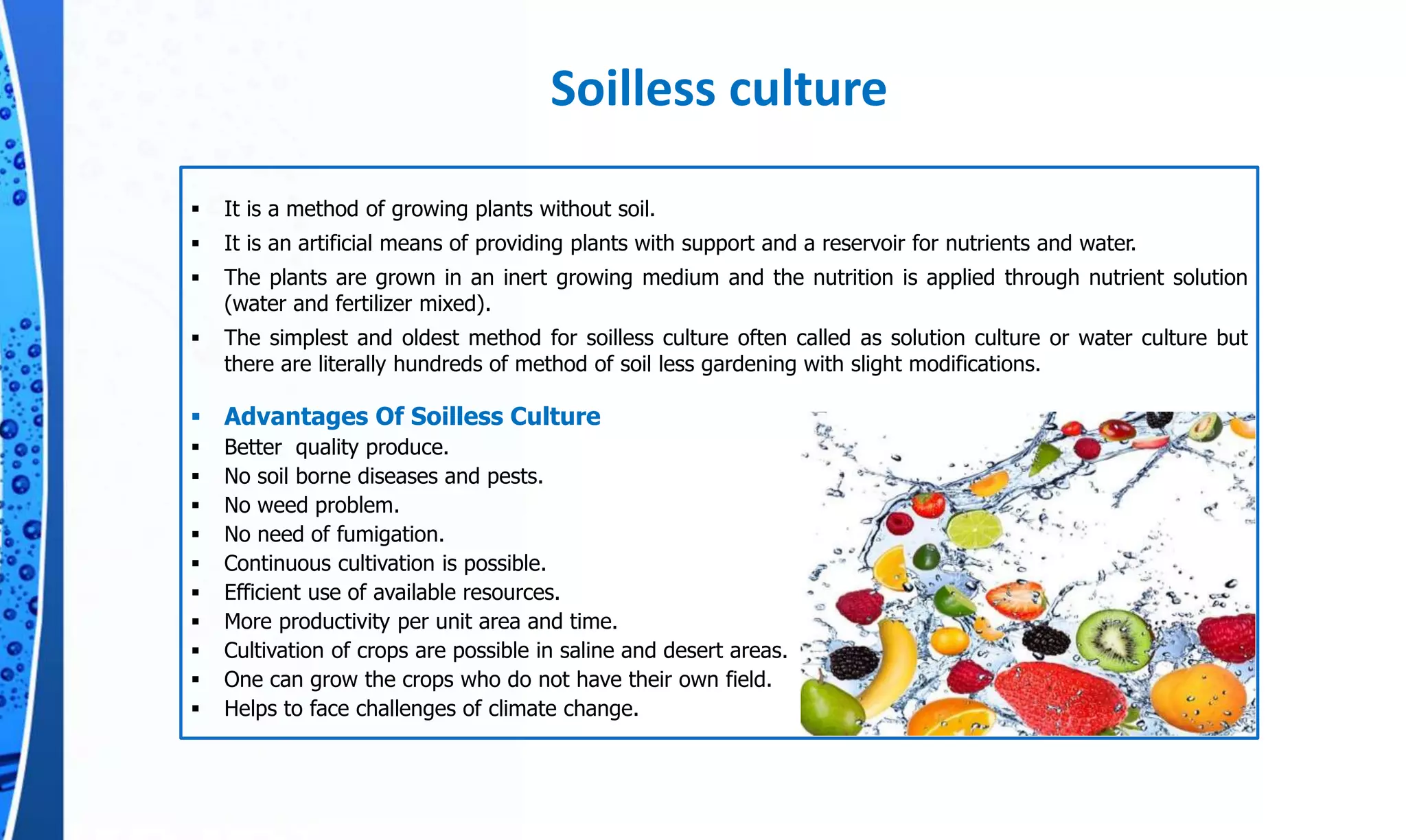 Soilless Culture | PPTX