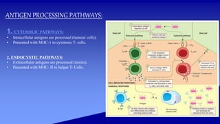 CM IAND AMI [Autosaved].pptx