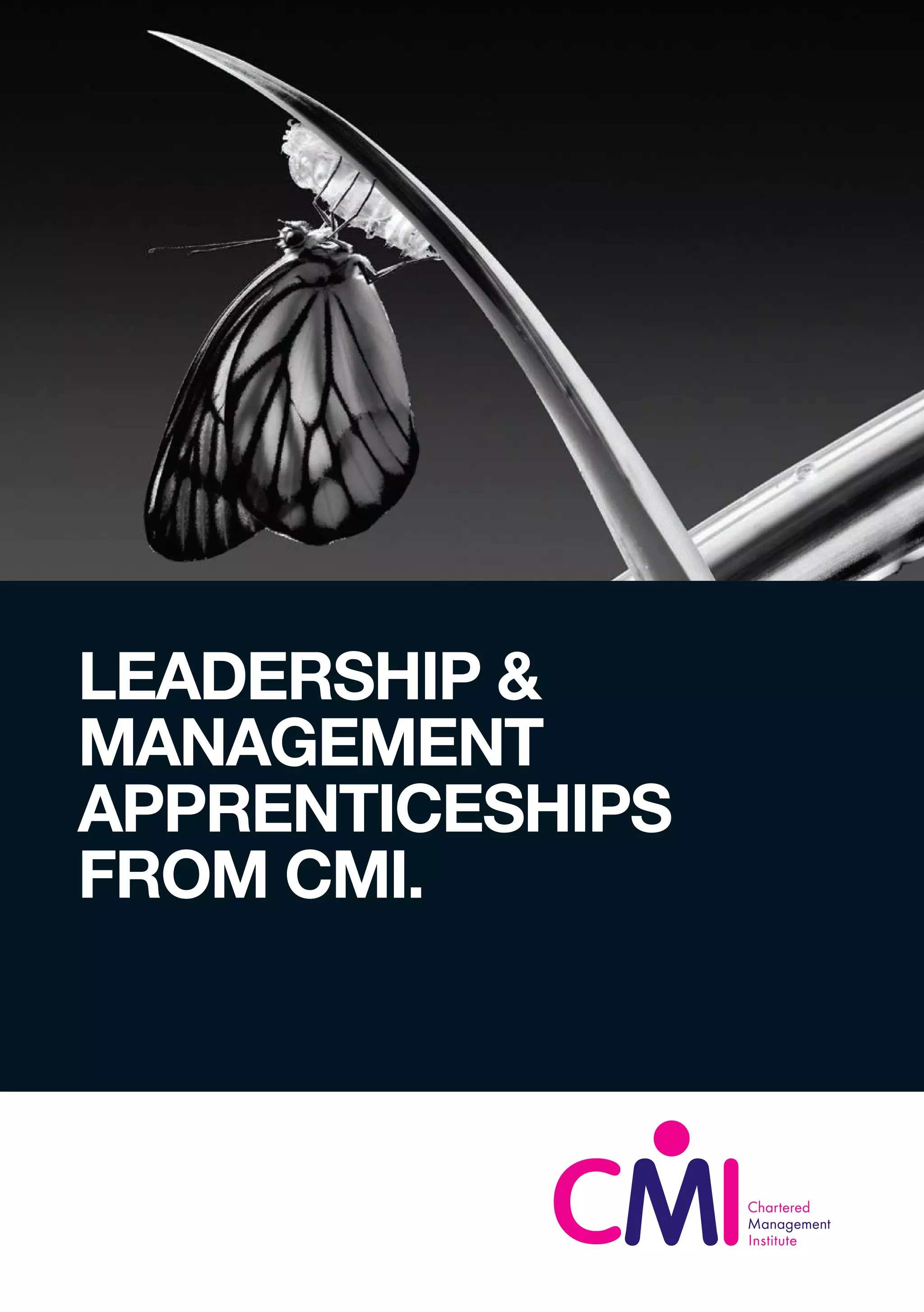 CMI Leadership and Management Apprenticeships | PDF
