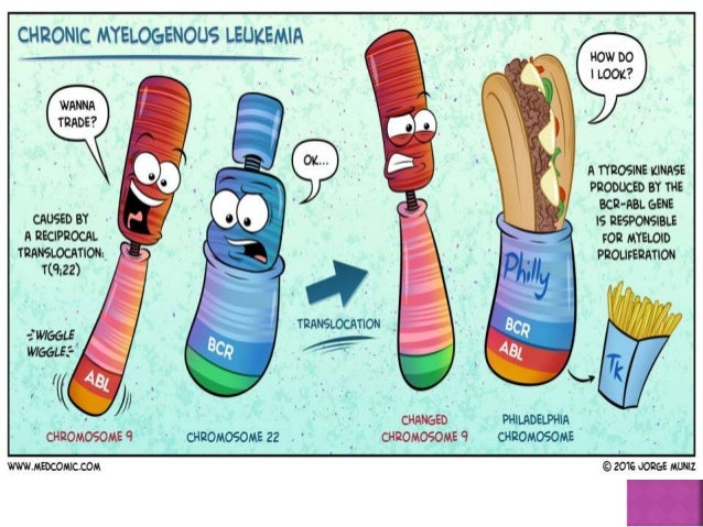 Chronic myeloid leukemia
