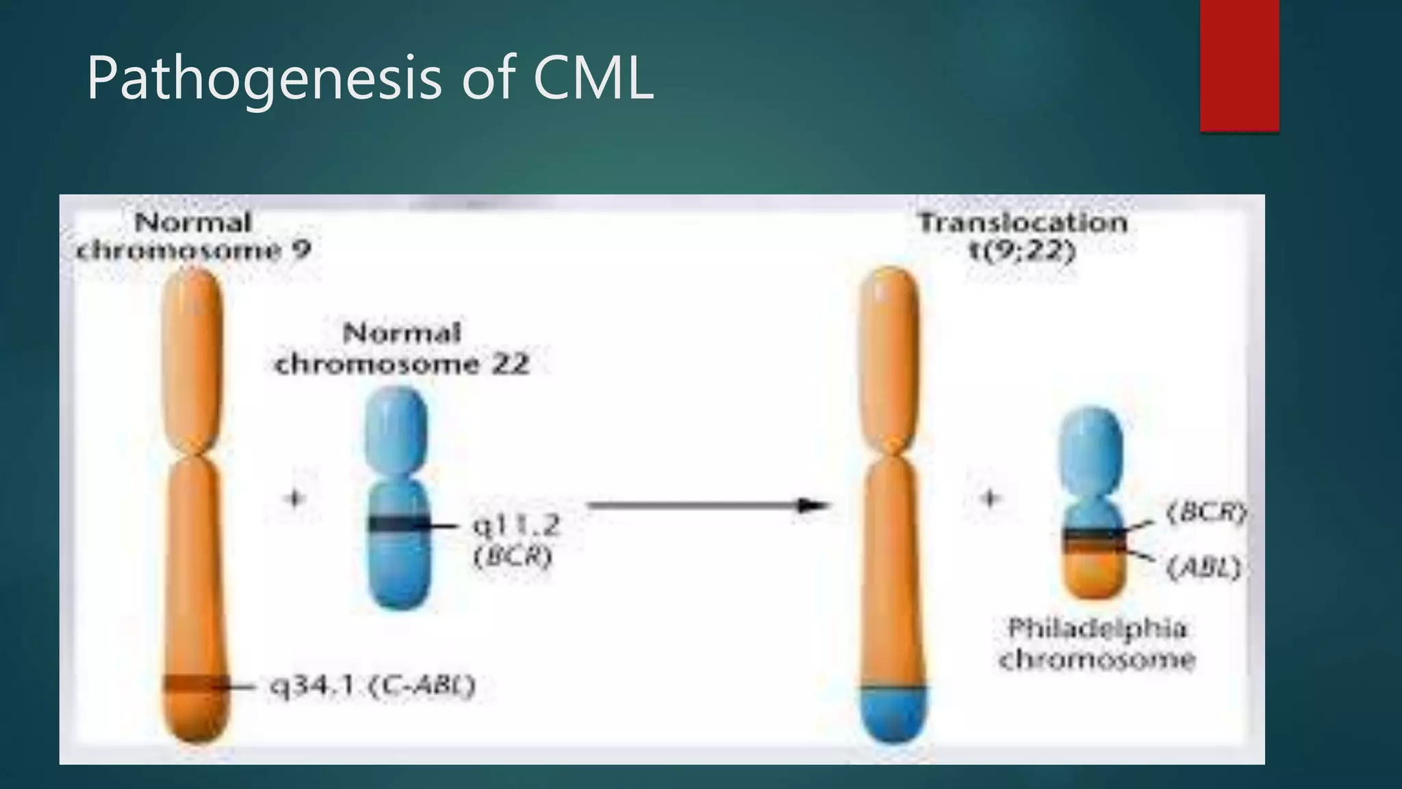Myeloproliferative disease- CML | PPTX