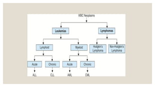 CML leukemia pathology ppt mbbs 2nd year.pptx | Free Download