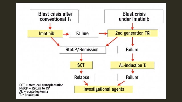 Chronic Myelogenous Leukemia (CML) - Hematology | PPTX