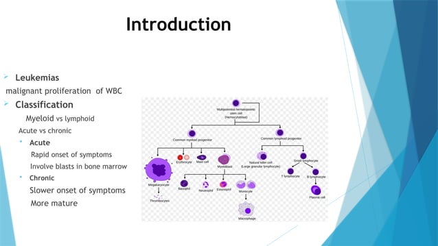 Chronic Myelogenous leukemia (CML) .pptx