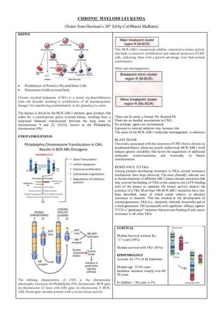 Cml Survival Rate 2022