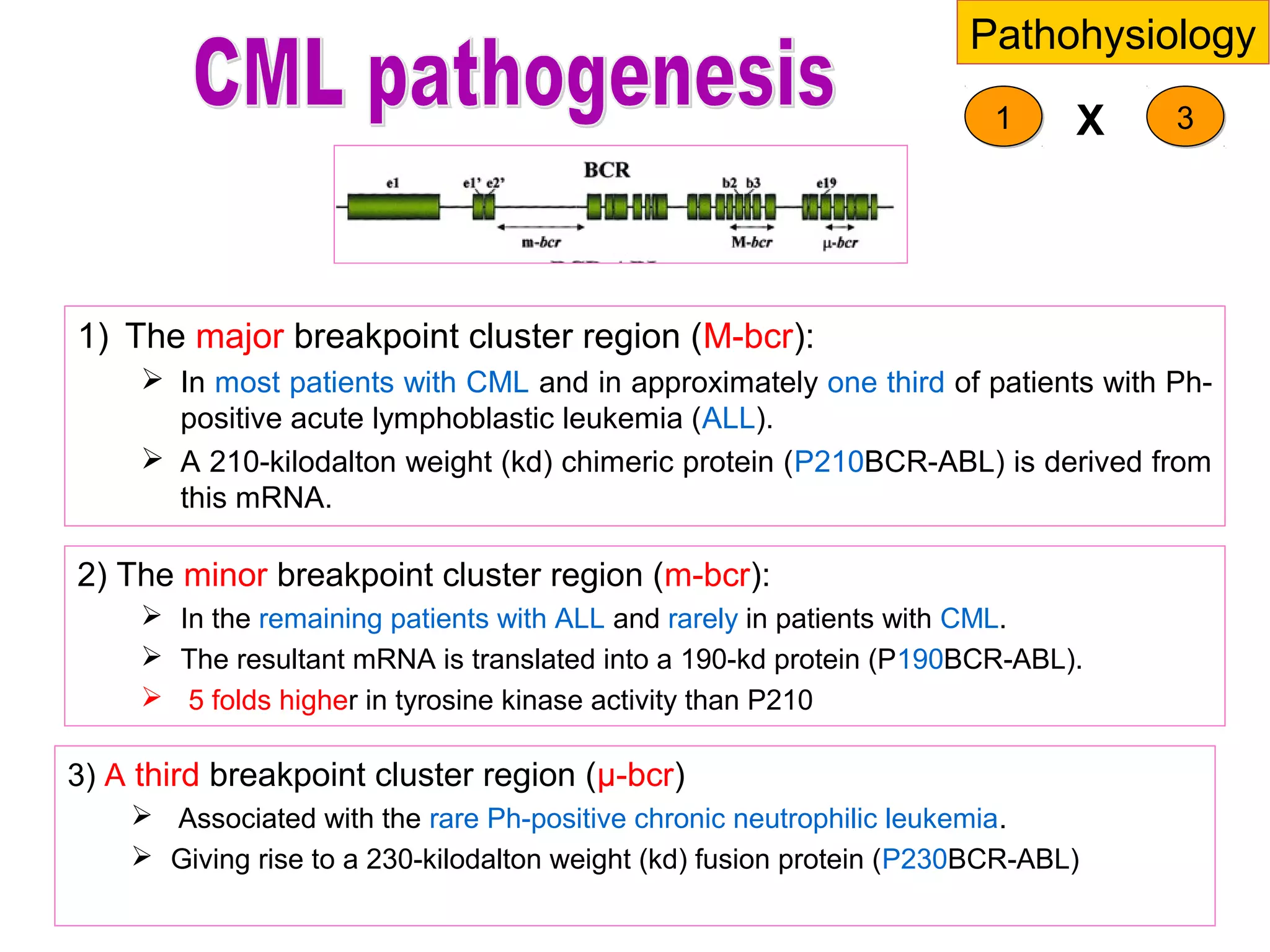 Chronic Myloid Leukemia overview (CML) | PPT