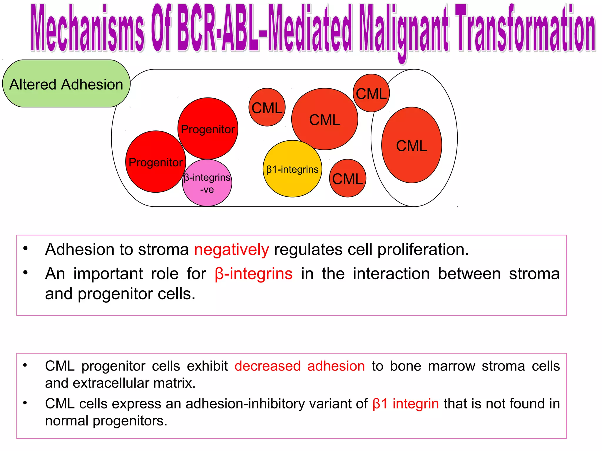 Chronic Myloid Leukemia overview (CML) | PPT
