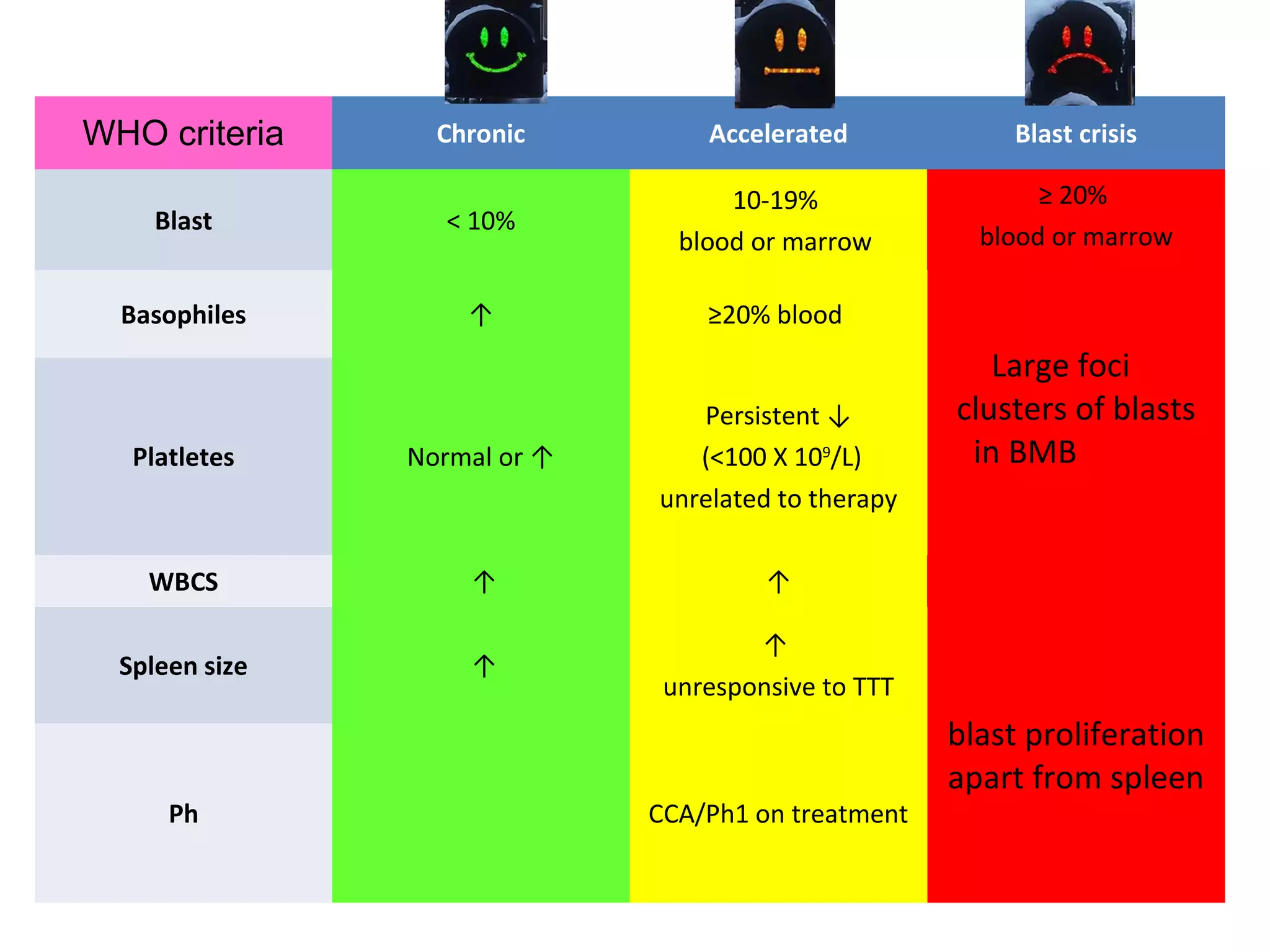 Chronic Myloid Leukemia overview (CML) | PPT