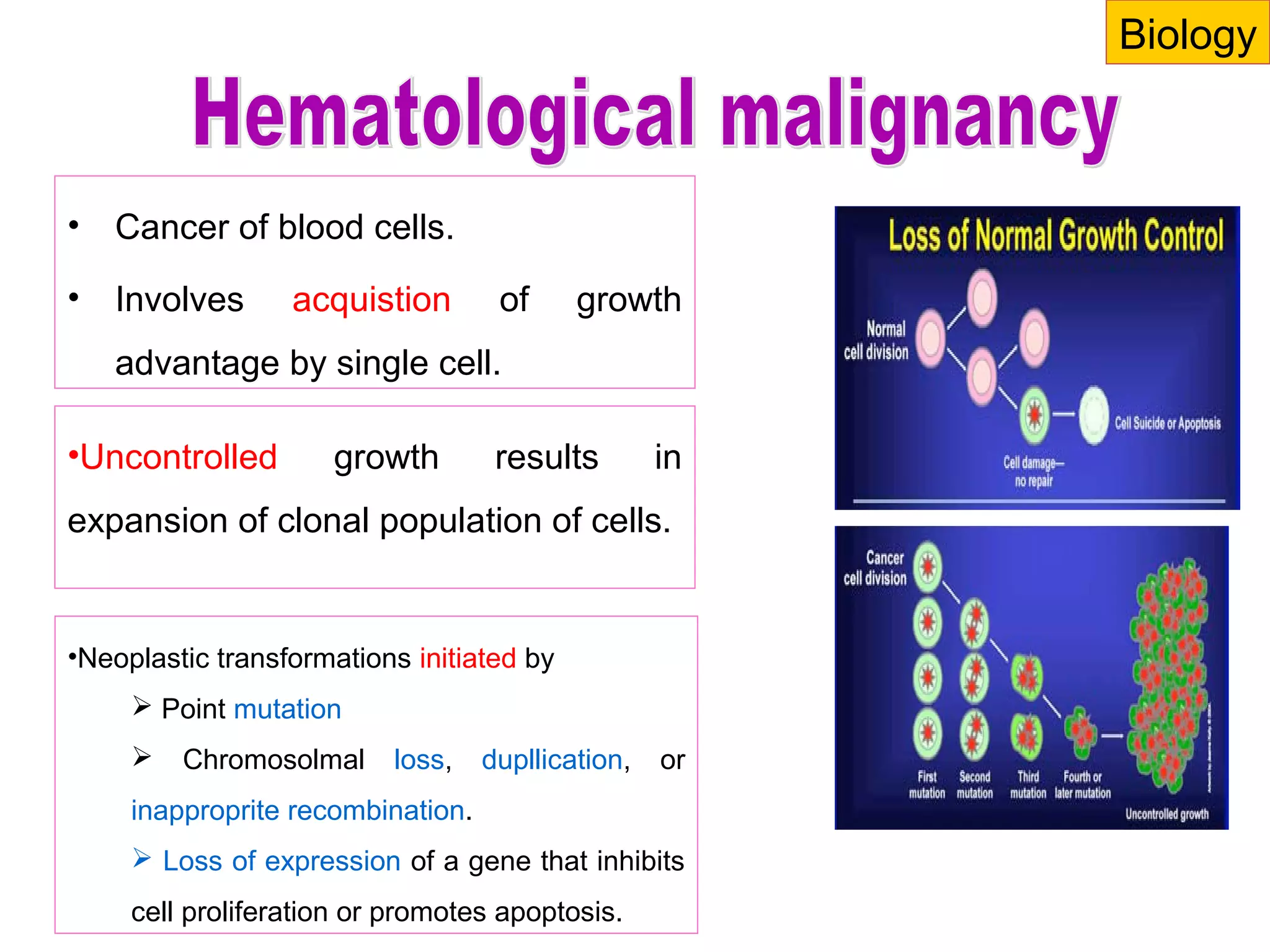 Chronic Myloid Leukemia overview (CML) | PPT