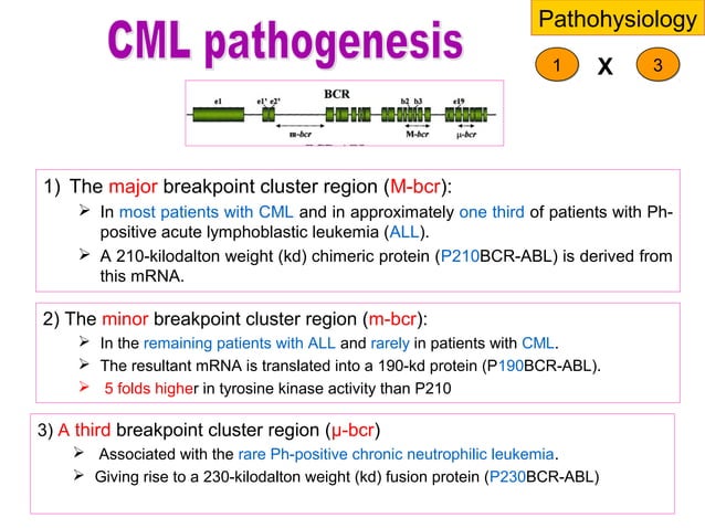 Chronic Myloid Leukemia overview (CML) | PPT