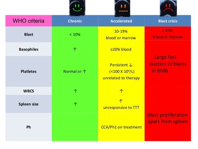 Chronic Myloid Leukemia overview (CML)
