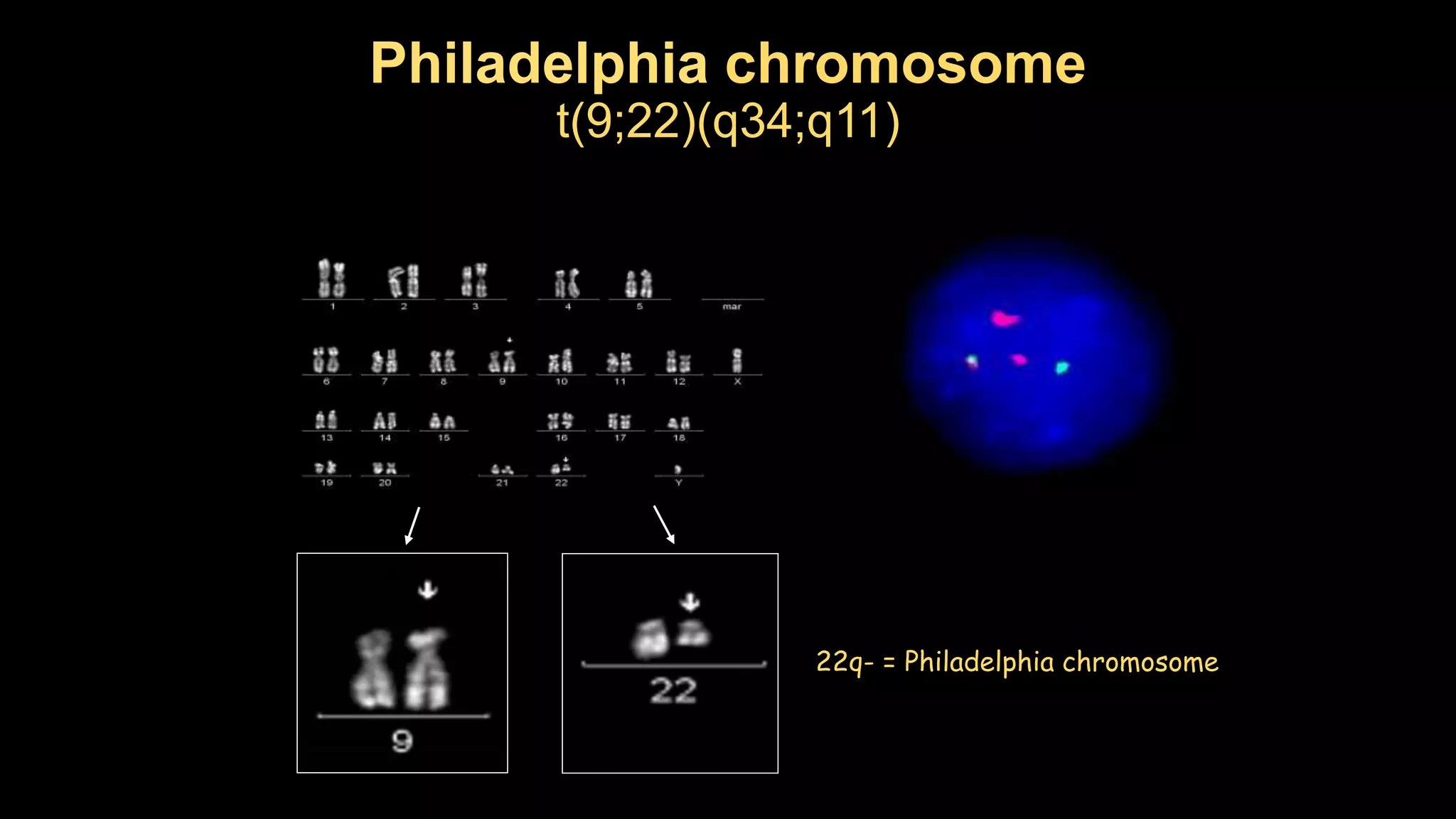 Cml presentation | PPTX