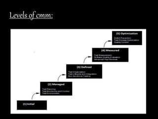 Capability maturity model | PPTX | Business | Business and Finance