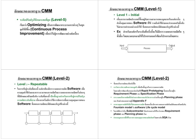 Cmmi | PDF