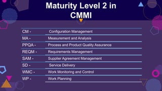 CMMI.pdf