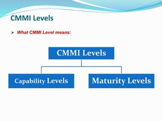 Introduction to CMMI-DEV v1.3 - Day 1 | PPSX