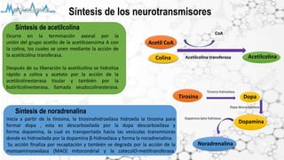COMO ACTÚAN LOS FÁRMACOS EN EL SISTEMA NERVIOSO | PPSX
