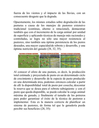 Cómo aforar un potrero para pastoreo correctamente | DOCX