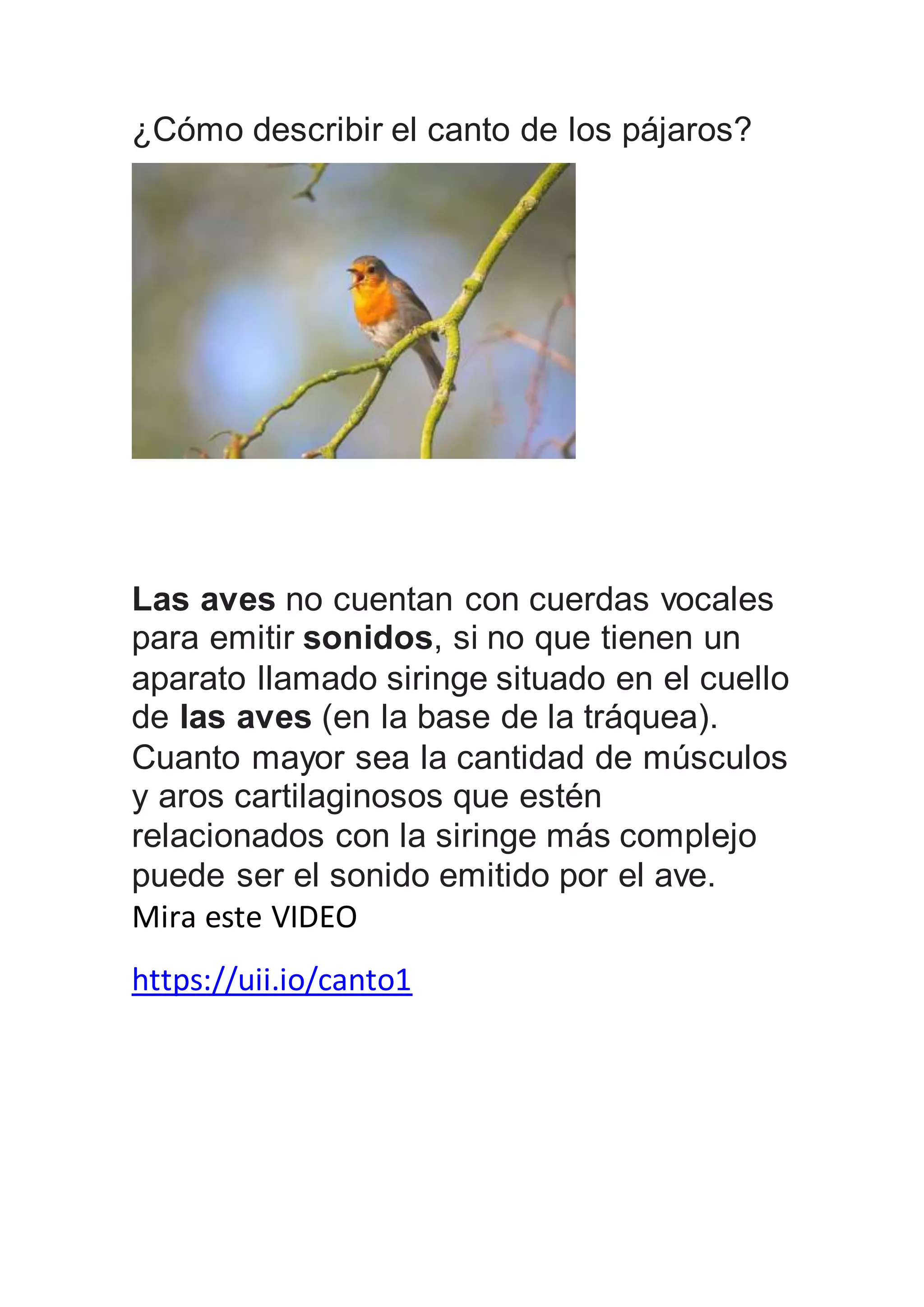 Cómo describir el canto de los pájaros | DOCX | Birdwatching | Hobbies ...