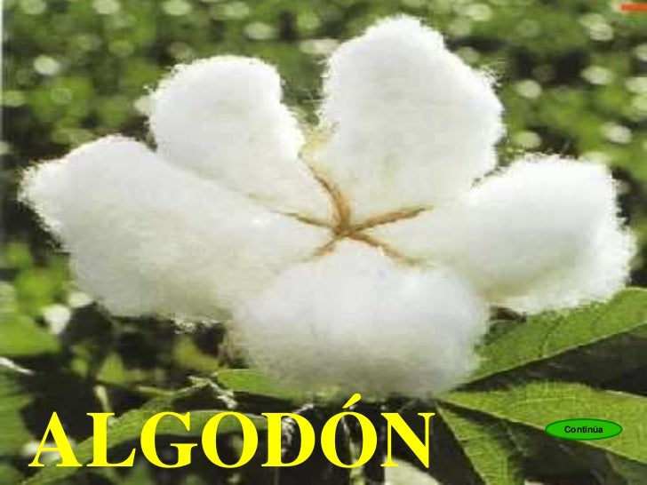 Cómo es la costa peruana