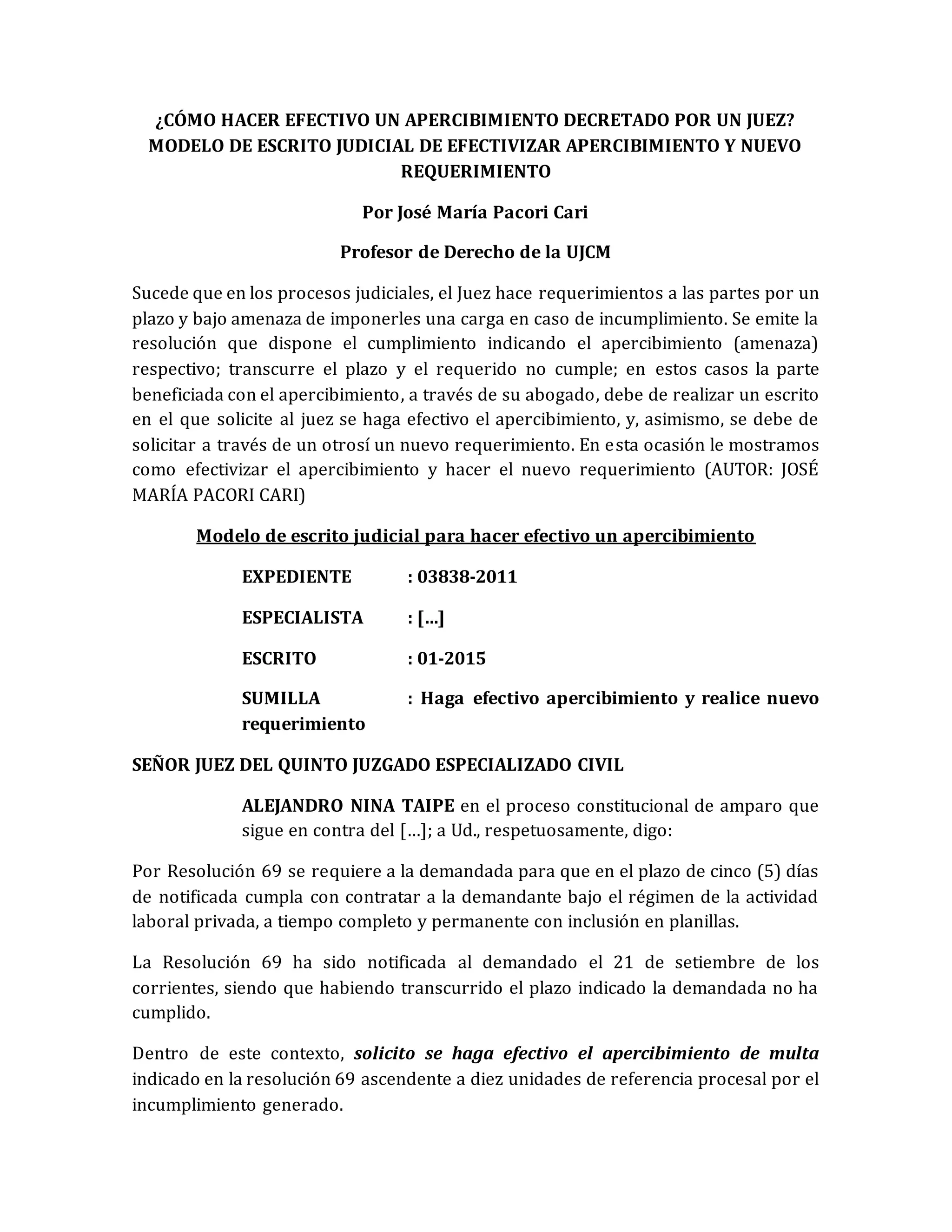 Cómo Hacer Efectivo Un Apercibimiento Decretado Por Un Juez Modelo De