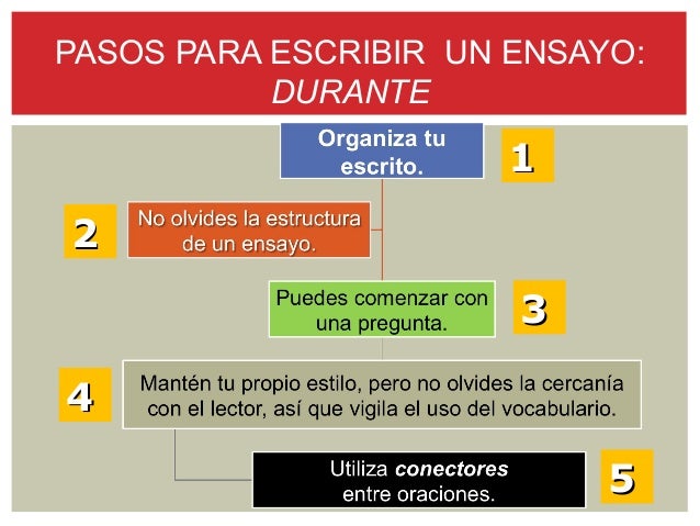 Pasos Para Elaborar Un Ensayo I Material Educativo Como Escribir Un