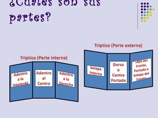 Cómo hacer un folleto... | PPT