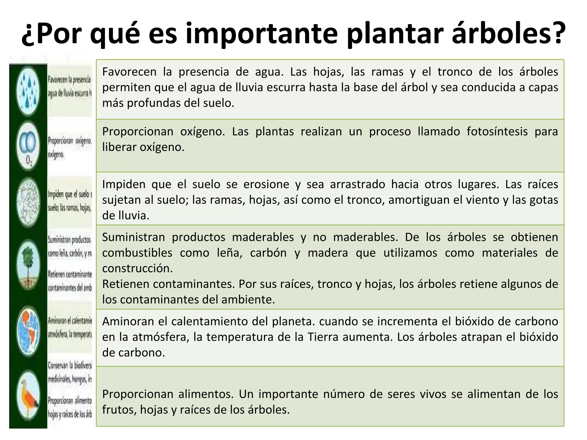 Cómo plantar un árbol | PPT