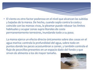 Cómo se producen las mareas | PPTX