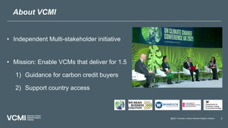 8th Strategic Dialogue of the CMP - Mark Kenber, VCMI | PDF