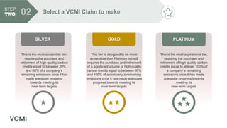 8th Strategic Dialogue of the CMP - Mark Kenber, VCMI | PDF