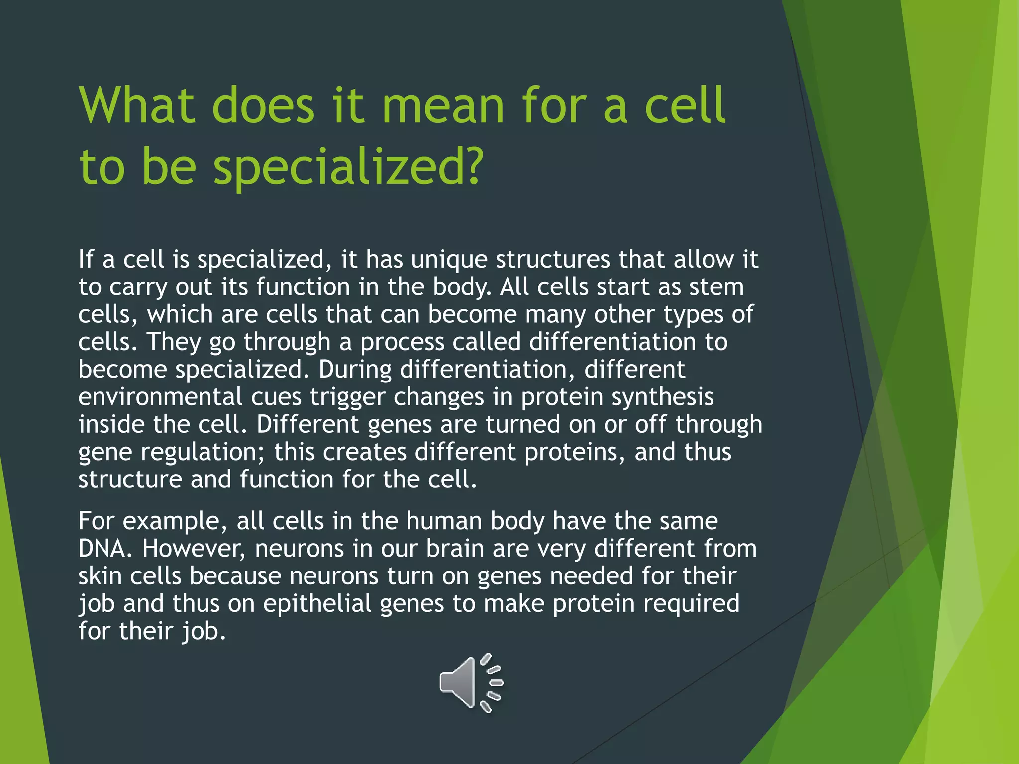 SPECIALIZED CELLS | PPTX