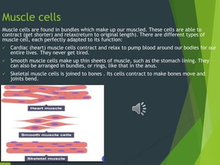 SPECIALIZED CELLS | PPTX