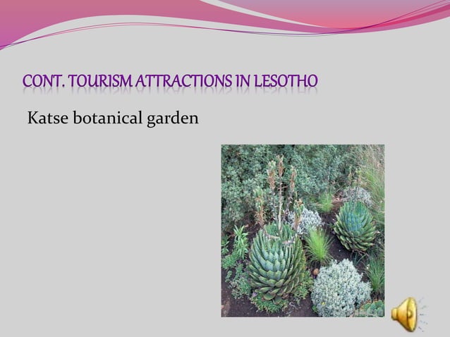 CMP_3202_P-B_PRESENTATION_ABOUT_TOURISM[1].pptx
