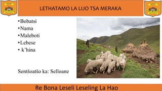 LIJO TSA MERAKA | PPTX