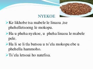 Lijo tsa Basotho | PPTX