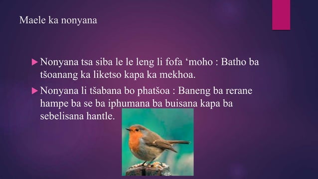 MAELE LE MAELANA | PPTX