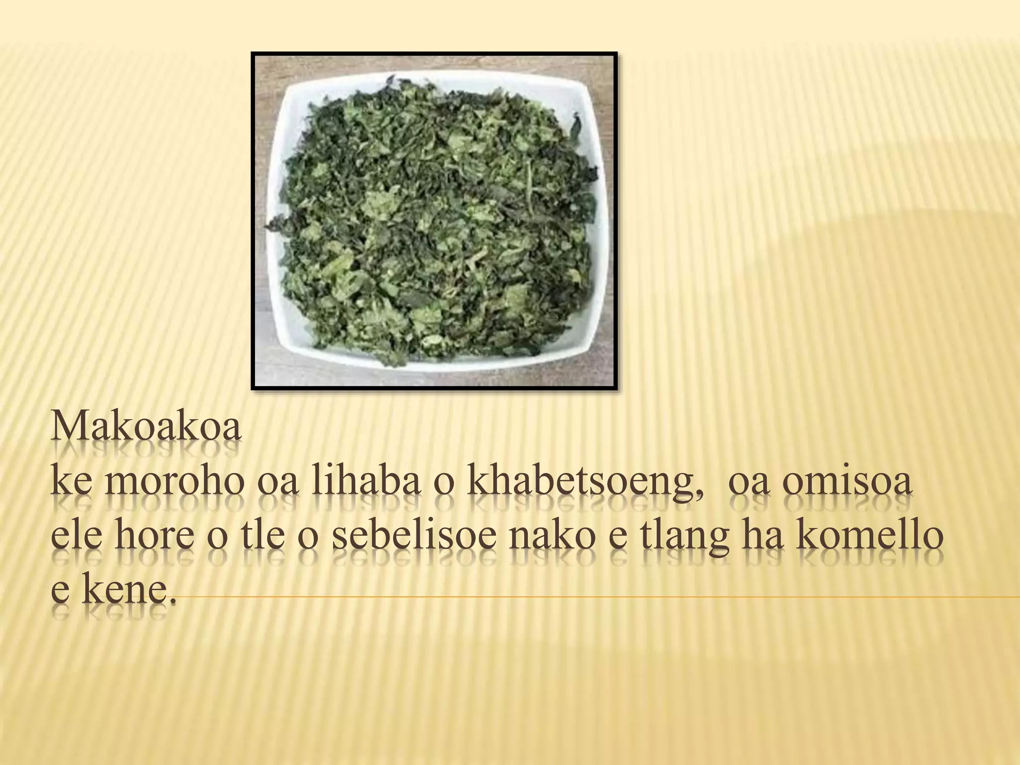 LIJO TSA BASOTHO | PPTX