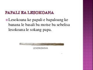 LIPAPALI TSA SESOTHO | PPT | Free Download