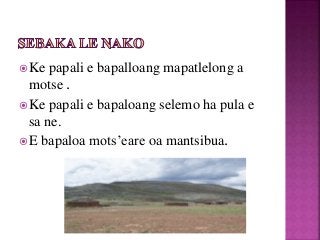 LIPAPALI TSA SESOTHO | PPT