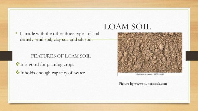 CMP3204 P-A Assignment 2 [2019-0146] | PPT